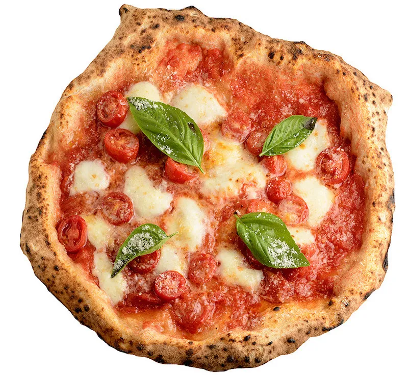 FUJI & SUN '23 フジ アンド サン '23